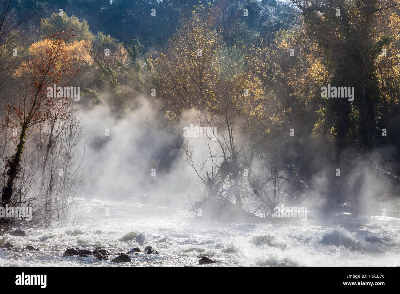 Fall/autumn in the Provence, France, Europe.Chateauvert Stock Photo - Alamy