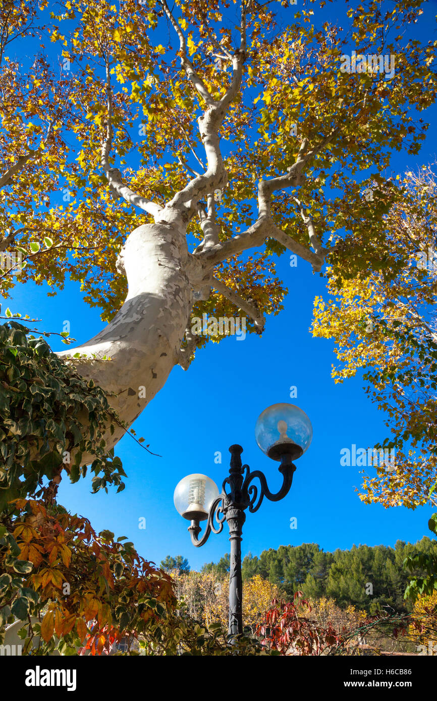 Fall/autumn in the Barjols, Provence, France, Europe Stock Photo - Alamy