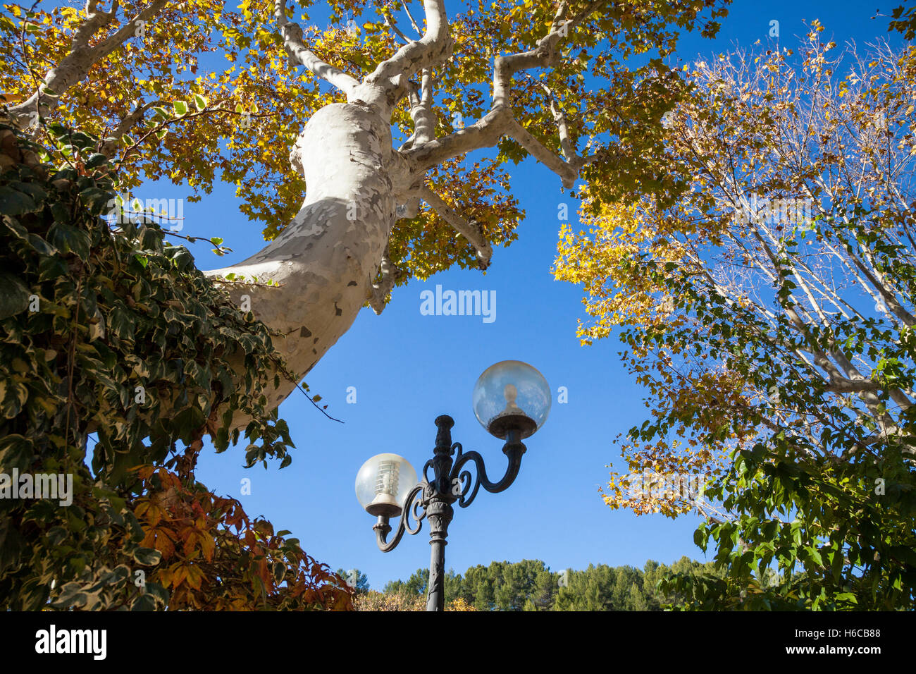 Fall/autumn in the Barjols, Provence, France, Europe Stock Photo - Alamy