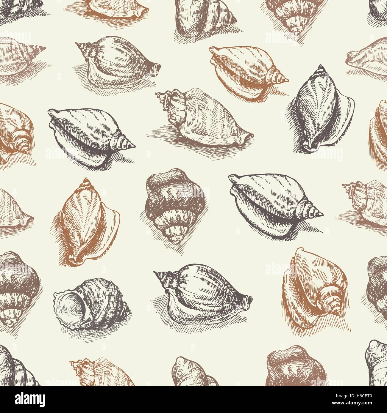 Vector seamless pattern sketch of seashells isolated on white ...