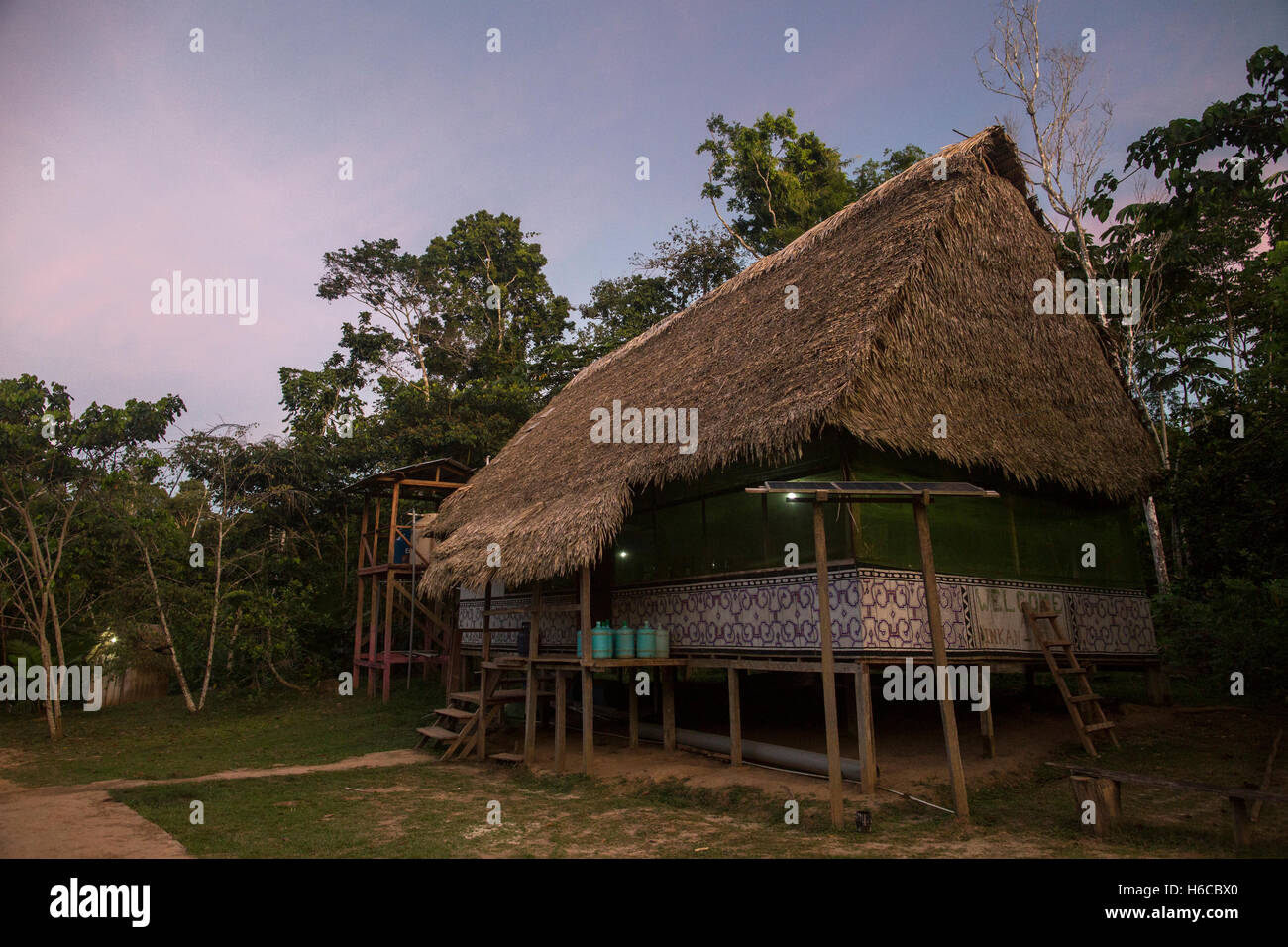 An Ayahuasca medicine Healing center and Maloca in the Peruvian Amazon ...