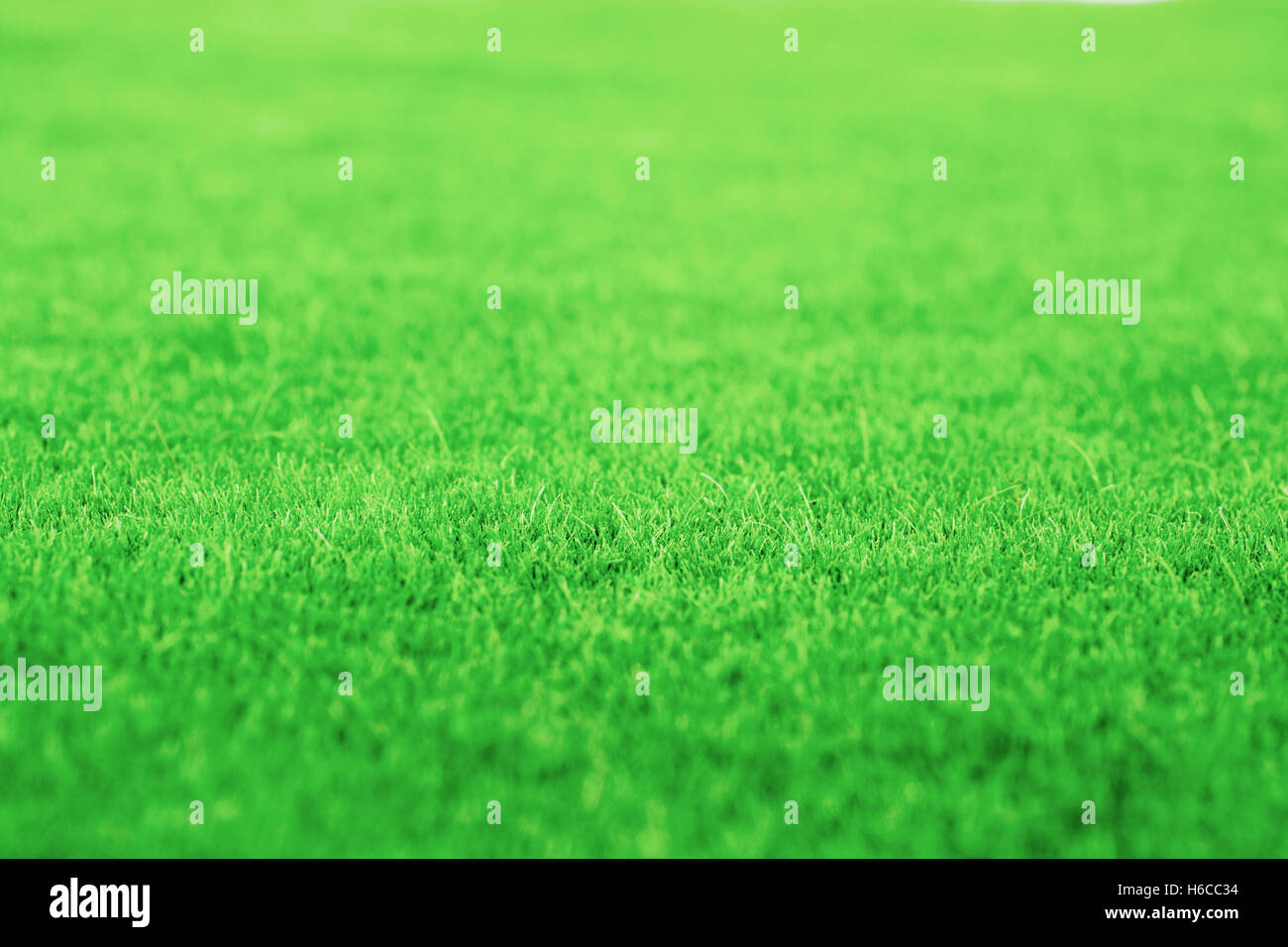 Fake green grass for use as nature background Stock Photo - Alamy