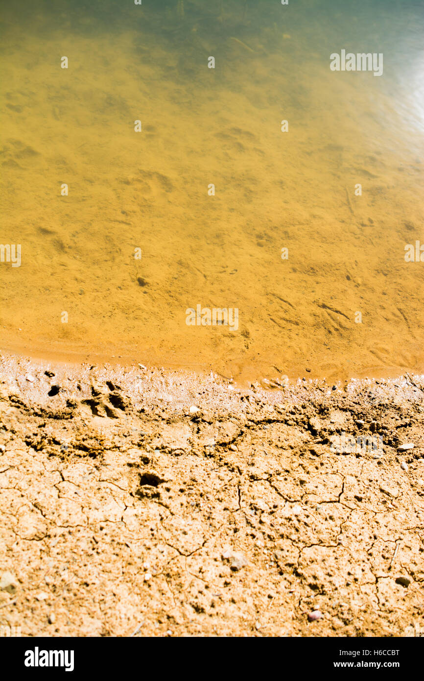 Background of dirty muddy water texture in the pond Stock Photo - Alamy