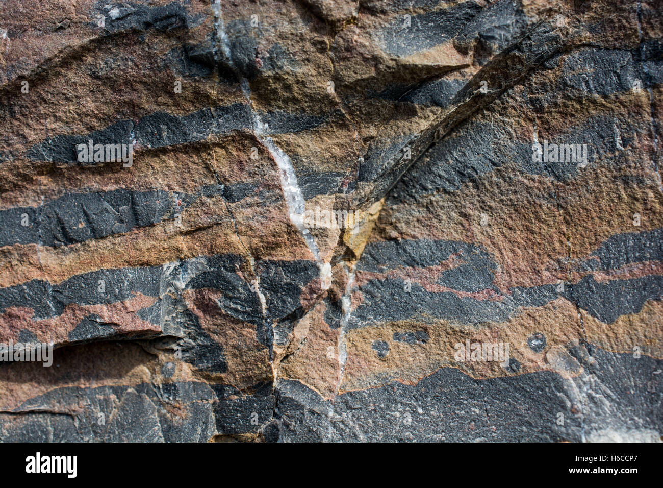 Rocky close up texture as natural landscape background Stock Photo - Alamy