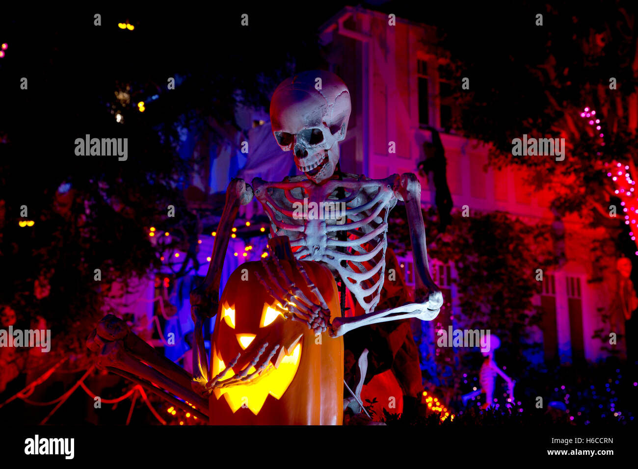 Jack skeleton hi-res stock photography and images - Alamy