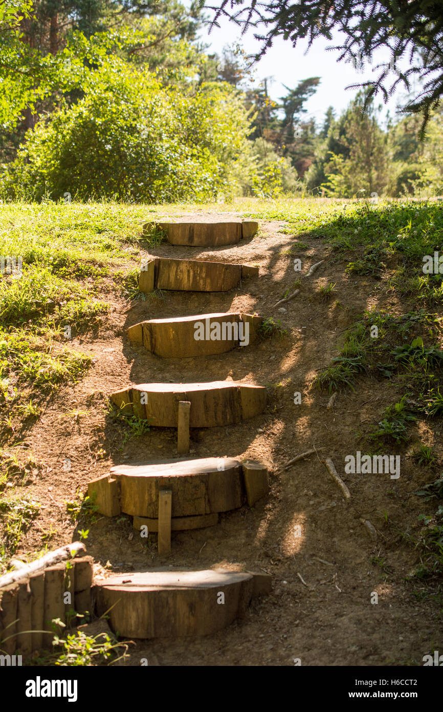 Picture of a wooden stairs made from tree trunks Stock Photo - Alamy