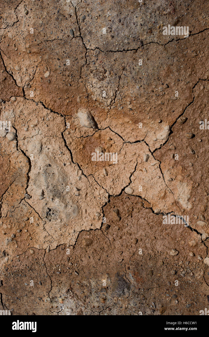 Brown color dry cracked muddy earth as a background texture Stock Photo ...