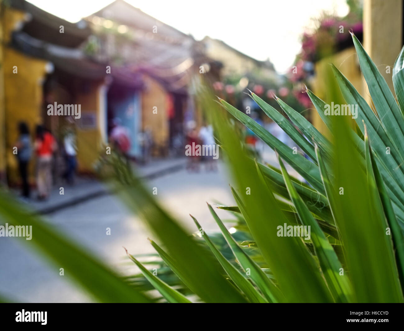 Hoi An street scene UNESCO heritage site Stock Photo - Alamy