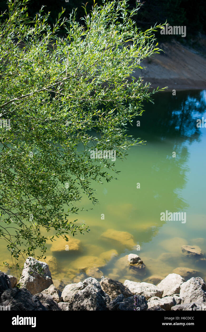 Background of green water texture in the pond Stock Photo - Alamy