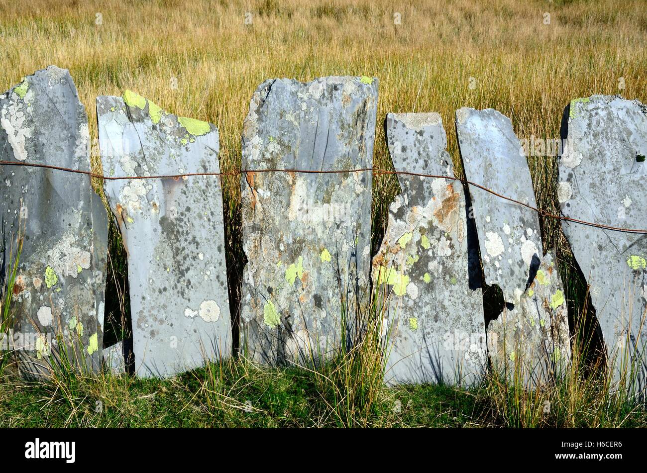 Traditional Welsh slate fence on Cwmorthin Walk Snowdonia National Park ...