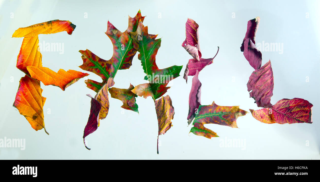 The Fall (Autumn)Falling leaves spelling fall Stock Photo - Alamy