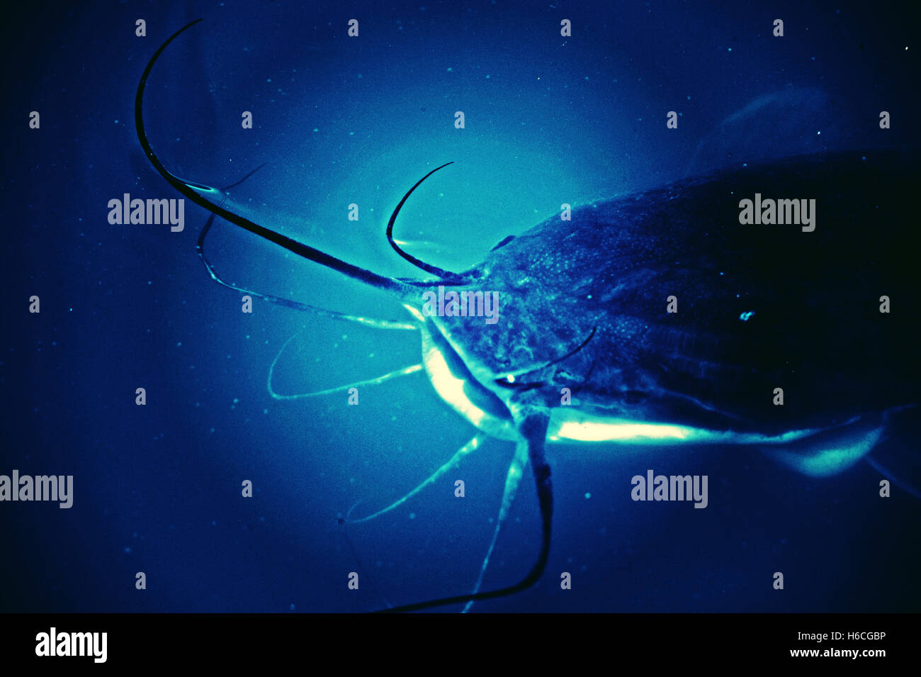 Lake Genezareth, Israel Stock Photo - Alamy