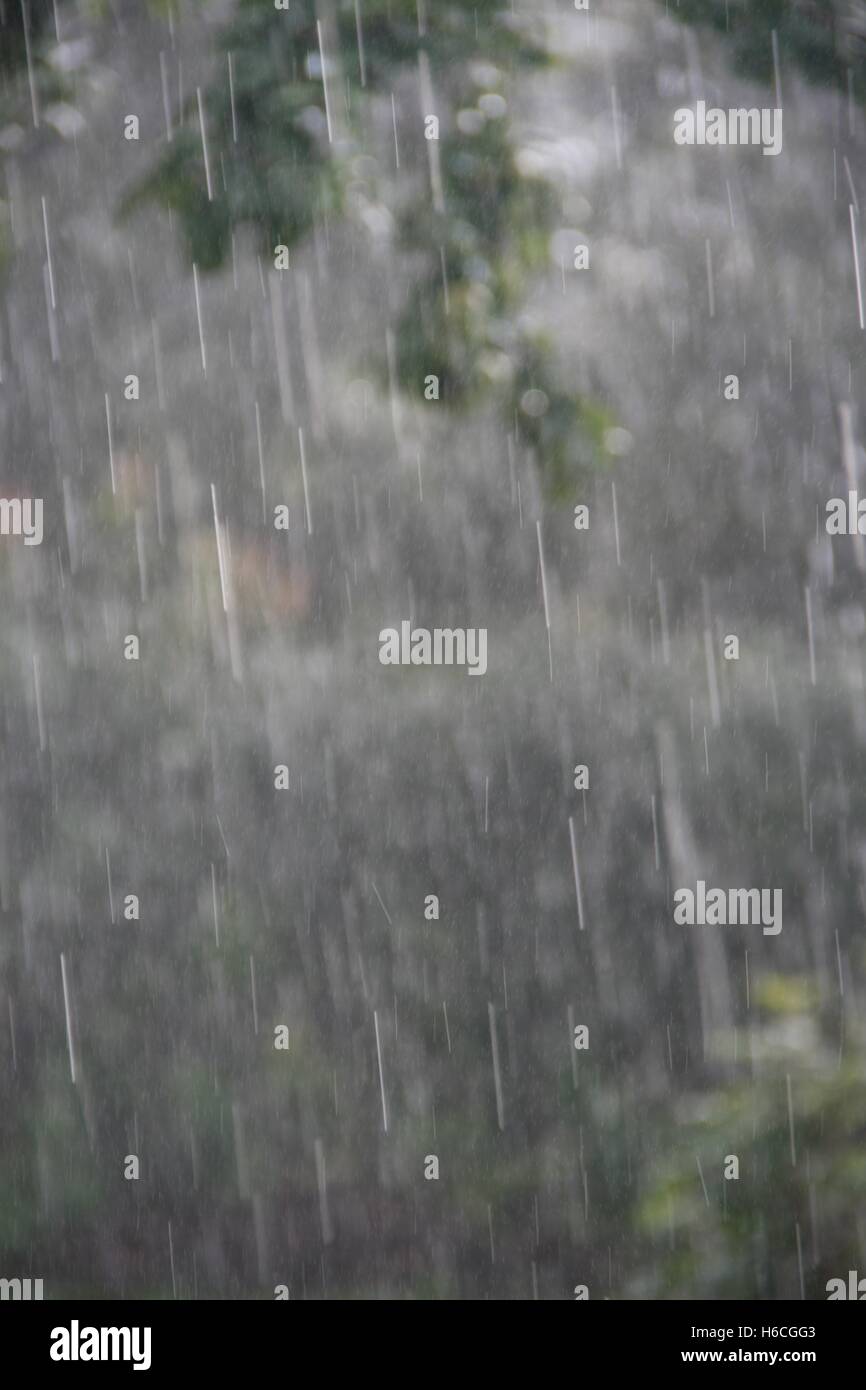 Toad strangler hi-res stock photography and images - Alamy