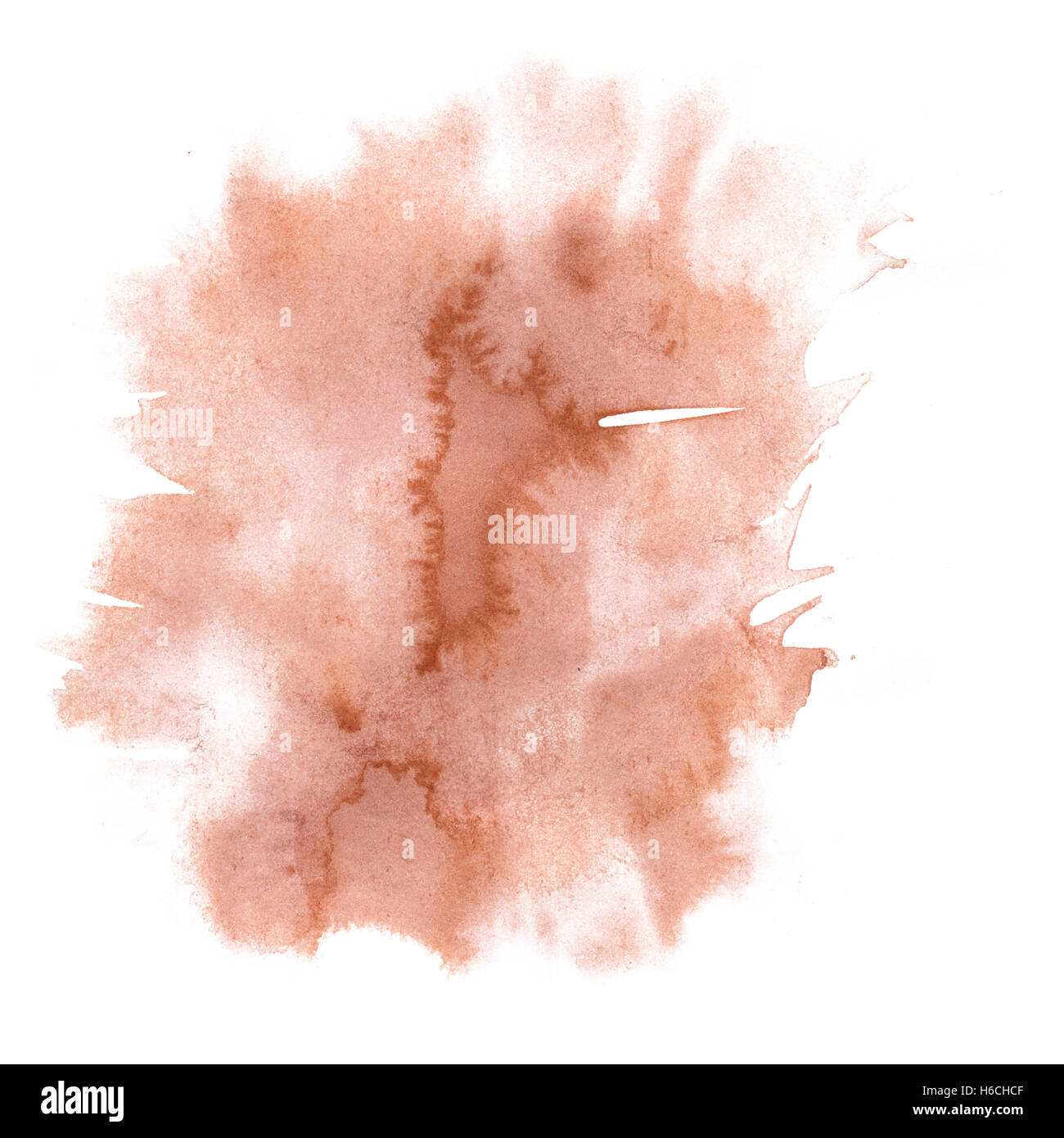 abstract watercolor brown splash . drop watercolor isolated blot for ...