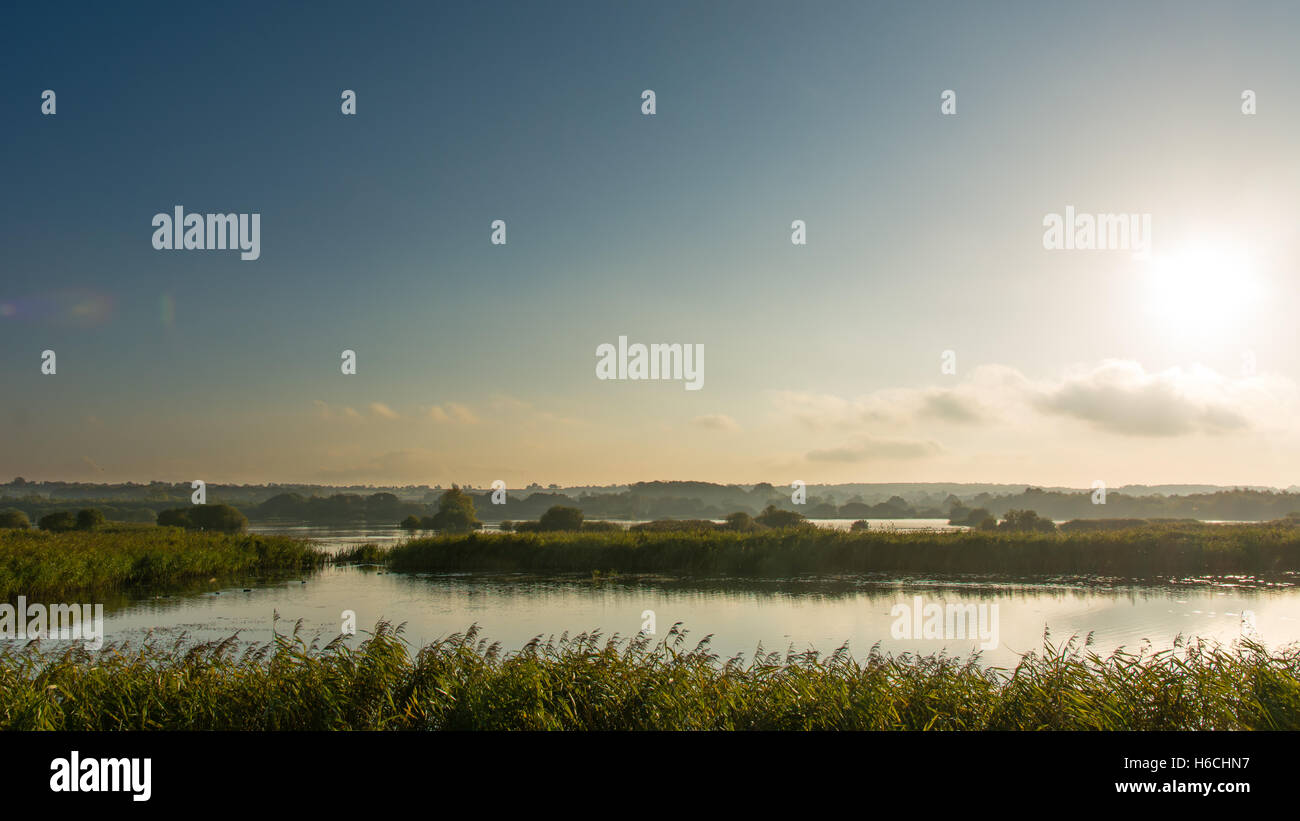 Shapwick Heath nature reserve. Reeds and lake at Avalon Marshes wetland ...