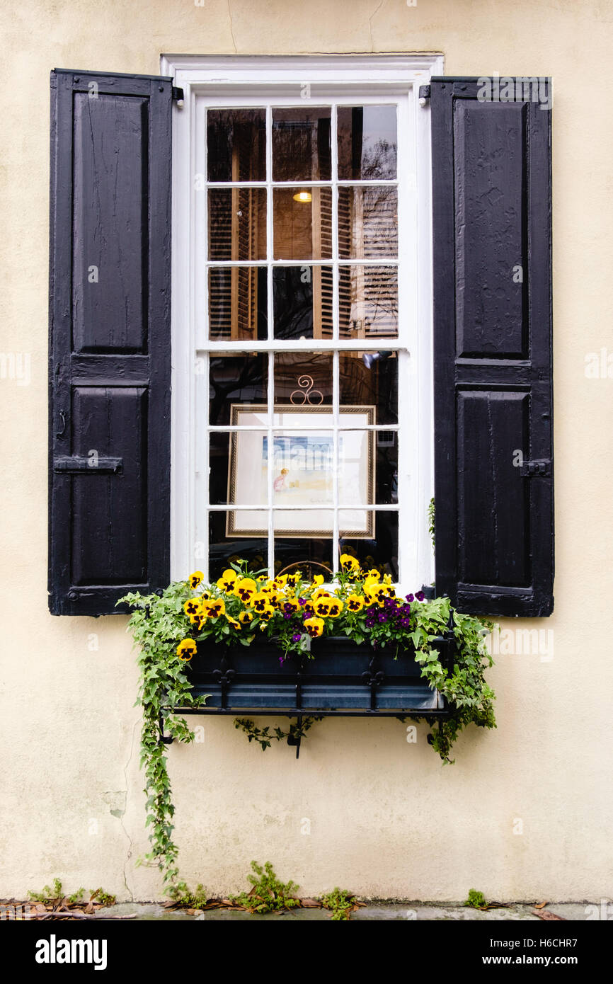 Charming Scene of a Window Decorated with Flowers in the Charleston ...