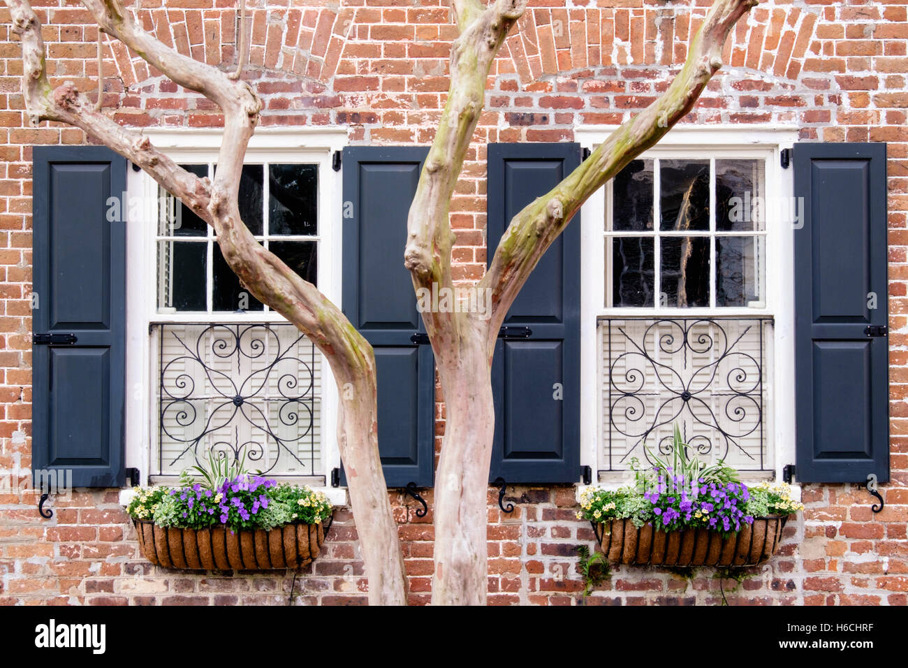 Charming Scenes of Windows Decorated with Flowers in the Charleston ...