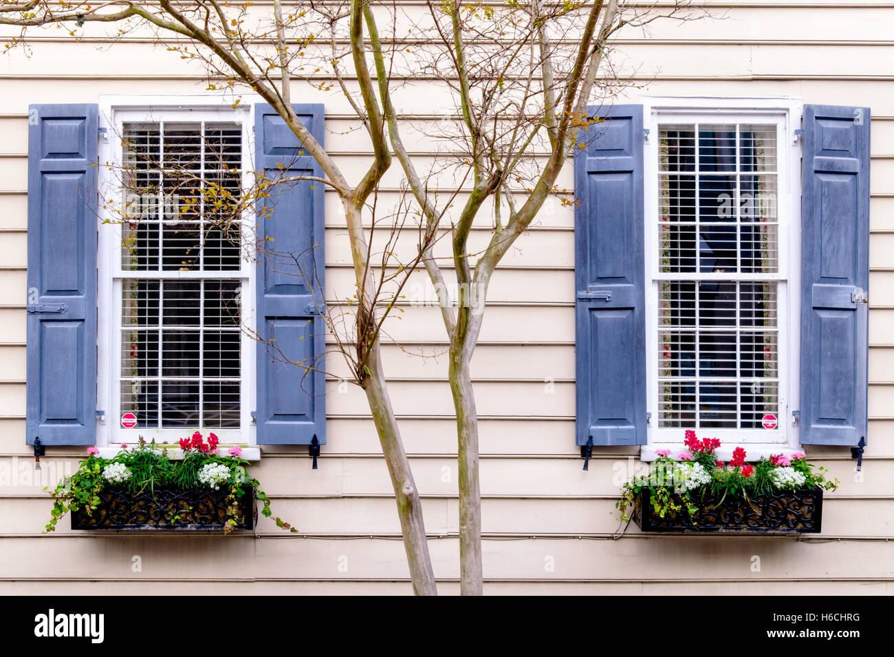 Charming Scene of Windows Decorated with Flowers in the Charleston ...