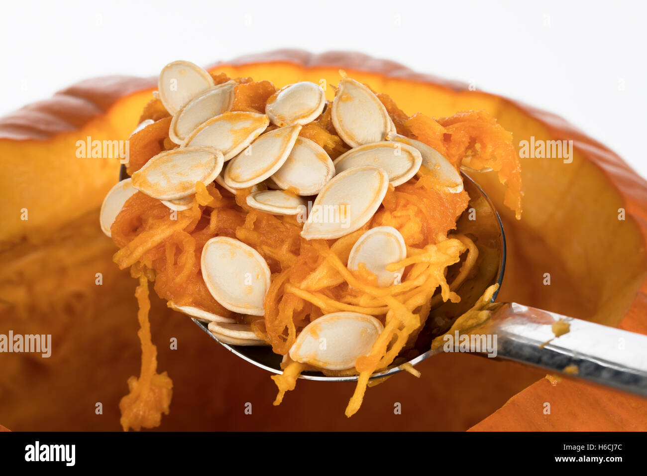 Large spoon of pumpkin seeds scraped from inside pumpkin to prepare for ...