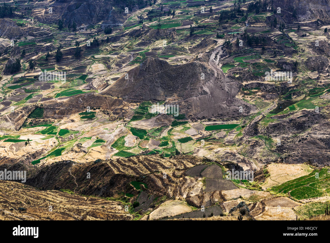 Andes mountain crops hi-res stock photography and images - Alamy