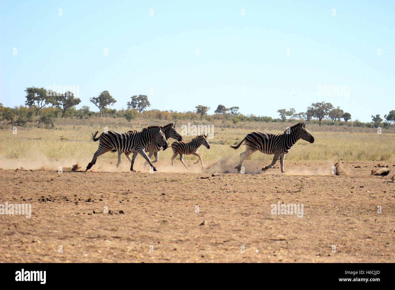 Catch up running hi-res stock photography and images - Alamy