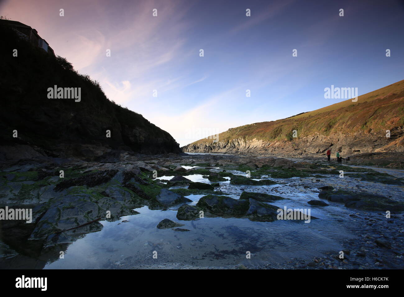 A view of the bay at Port Quin in Cornwall at low tide Stock Photo - Alamy