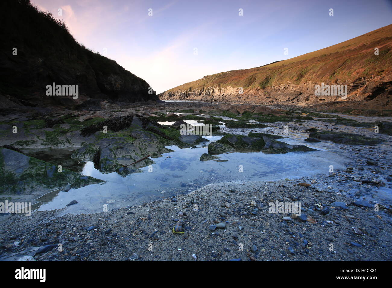 Rock pools cornwall hi-res stock photography and images - Alamy