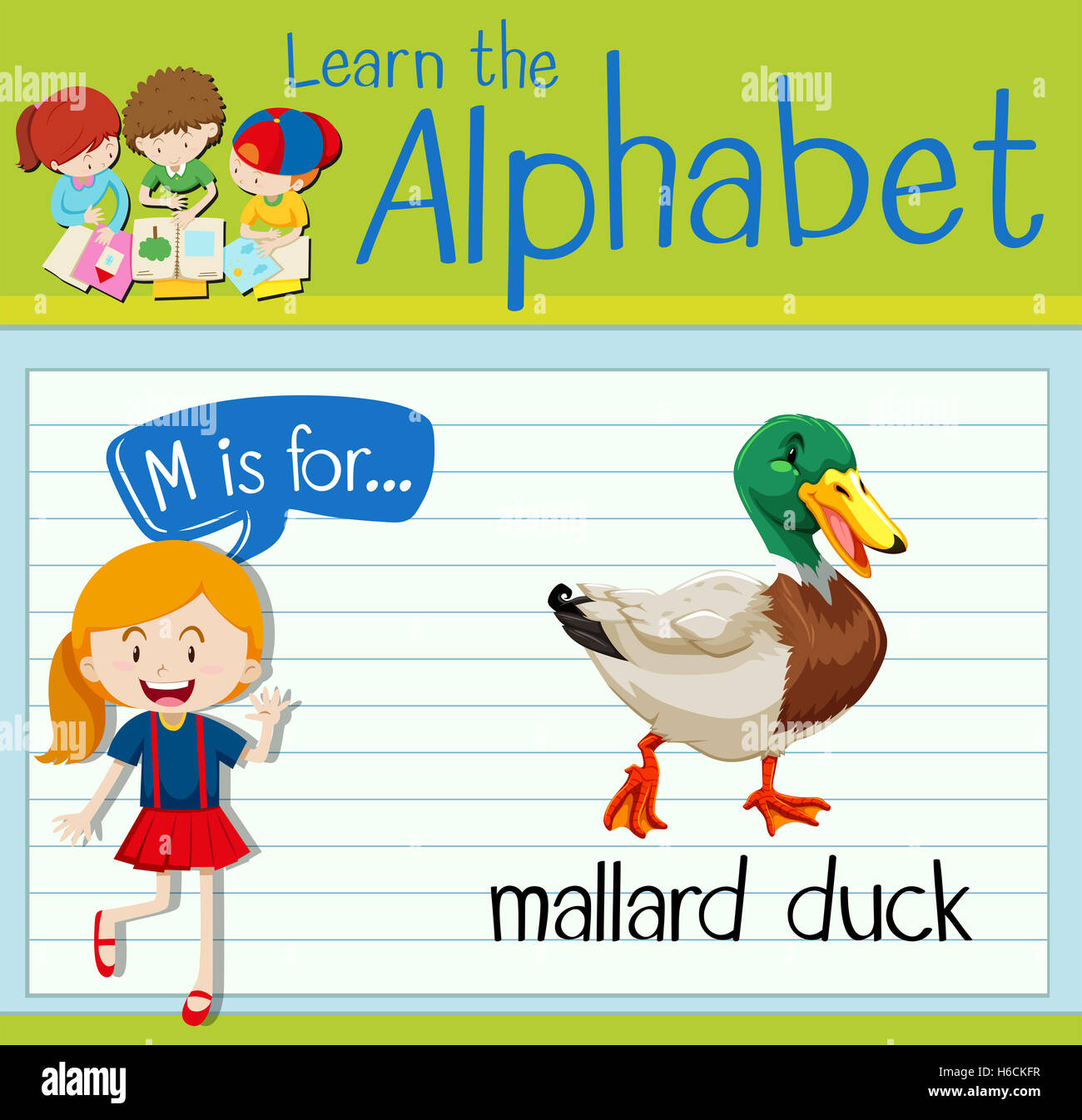 Flashcard letter M is for mallard duck illustration Stock Photo - Alamy
