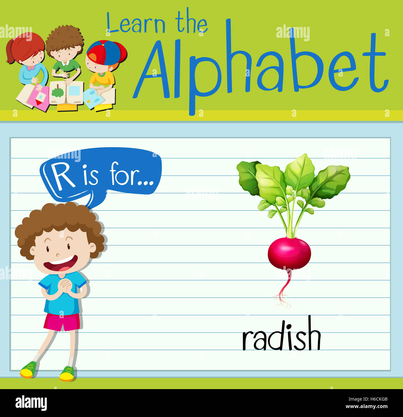 Flashcard letter R is for radish illustration Stock Photo - Alamy