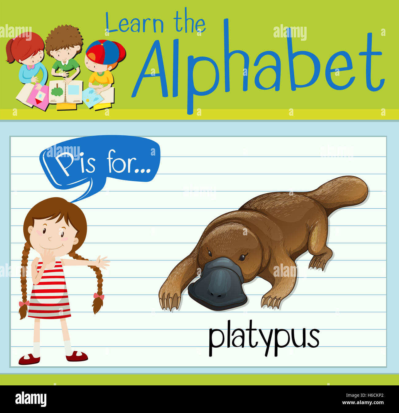 Flashcard letter P is for platypus illustration Stock Photo - Alamy