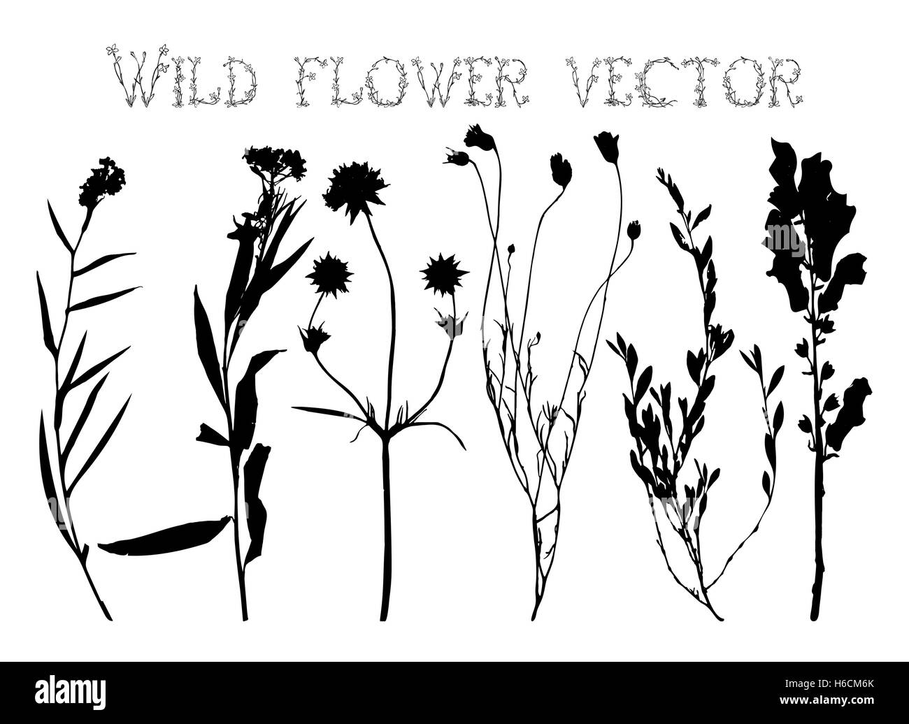 Bush vector vectors Black and White Stock Photos & Images - Alamy