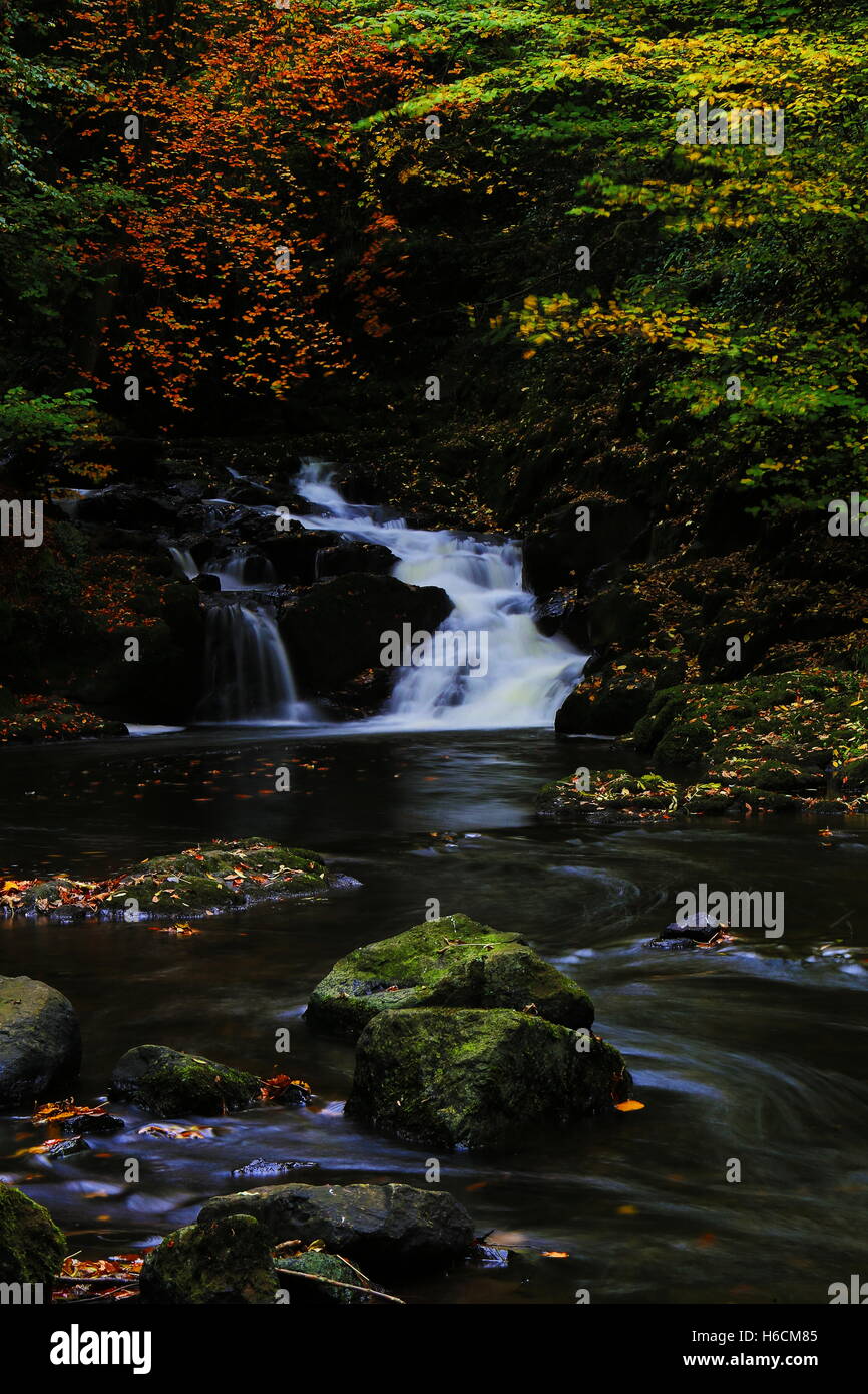 The River takes its name from the village of Crumlin, Co Antrim ...
