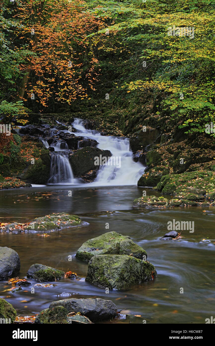 The River takes its name from the village of Crumlin, Co Antrim ...