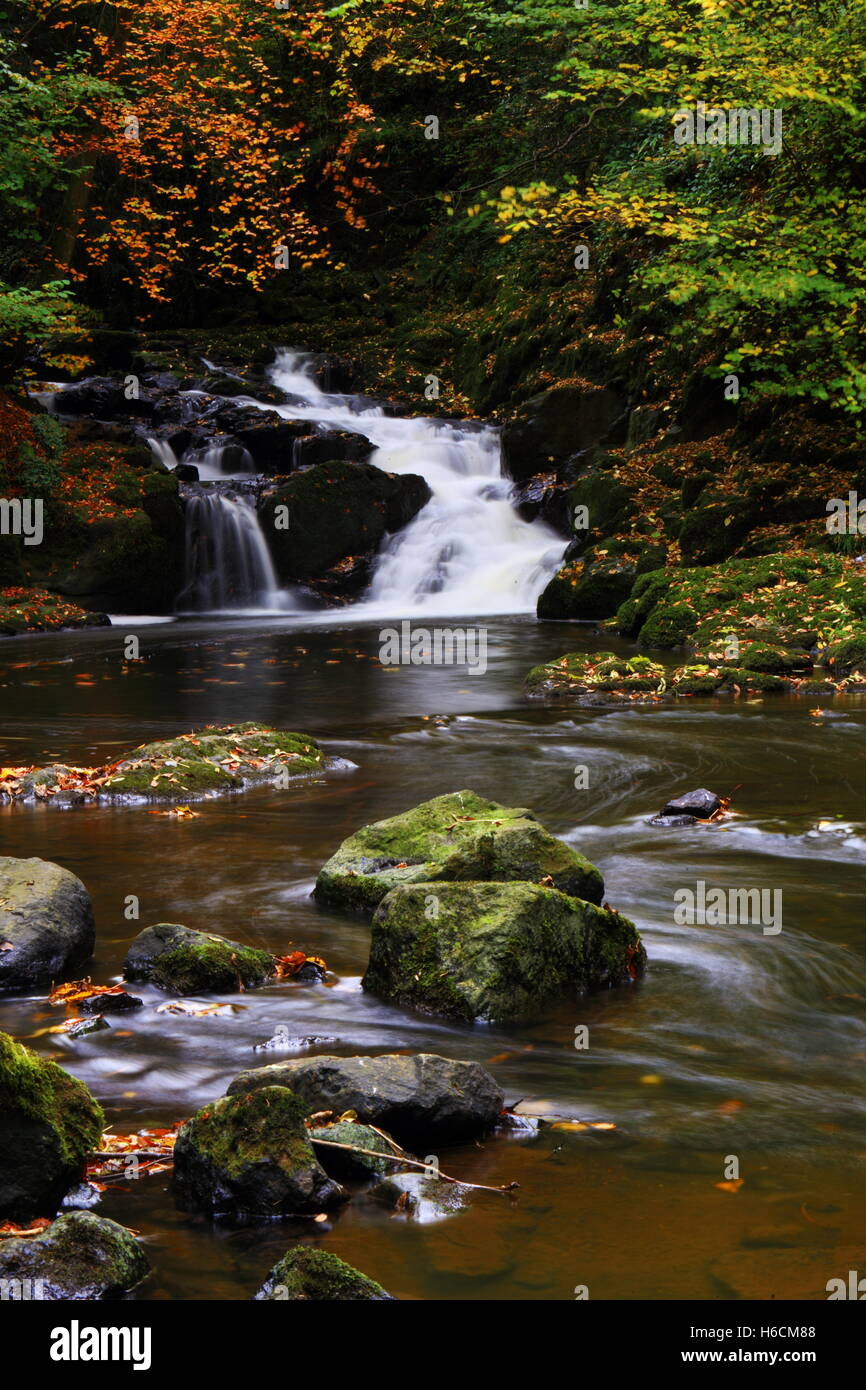 The River takes its name from the village of Crumlin, Co Antrim ...