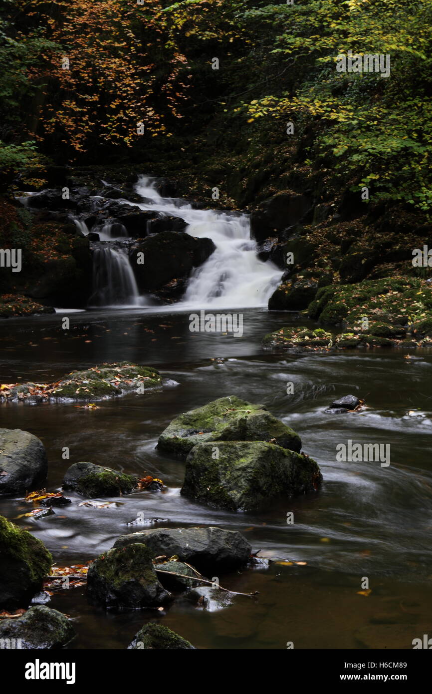The River takes its name from the village of Crumlin, Co Antrim ...