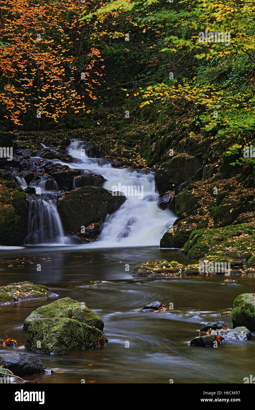 The River takes its name from the village of Crumlin, Co Antrim ...