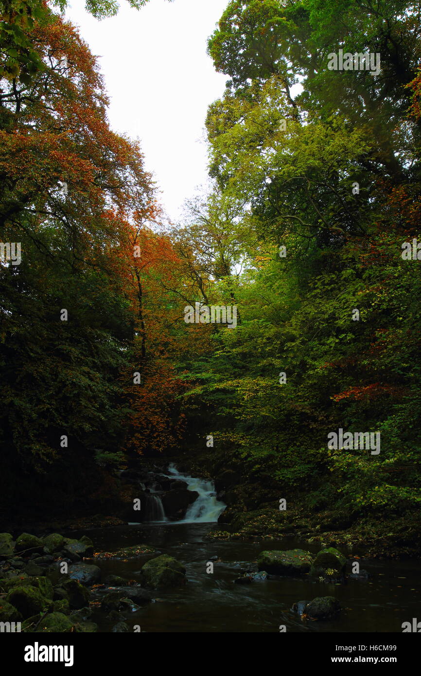 The River takes its name from the village of Crumlin, Co Antrim ...
