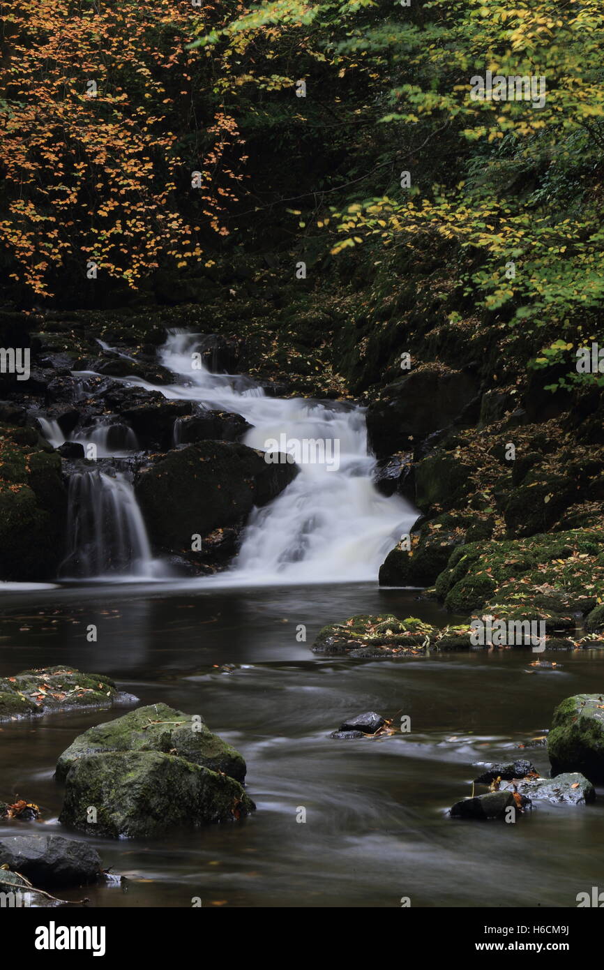 The River takes its name from the village of Crumlin, Co Antrim ...