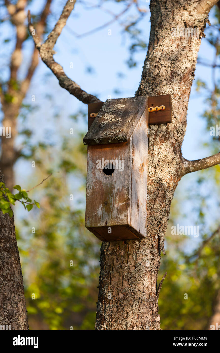 Nest box at Tjeldsund Fjord camping, Lofoten Islands Norway Stock Photo ...