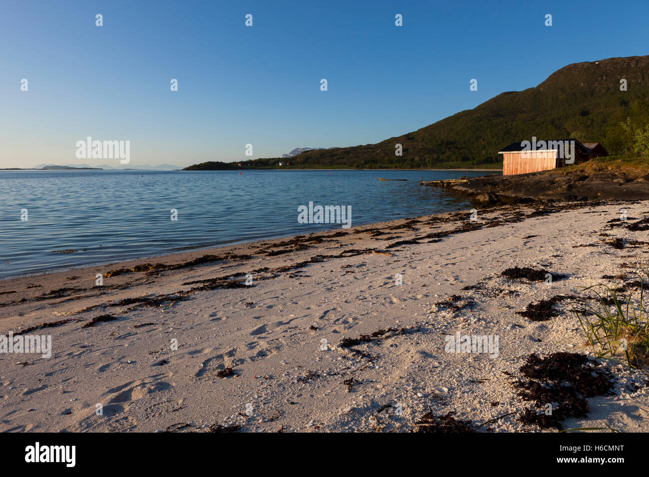 Shoreside at Tjeldsund Fjord camping, Lofoten Islands Norway Stock ...