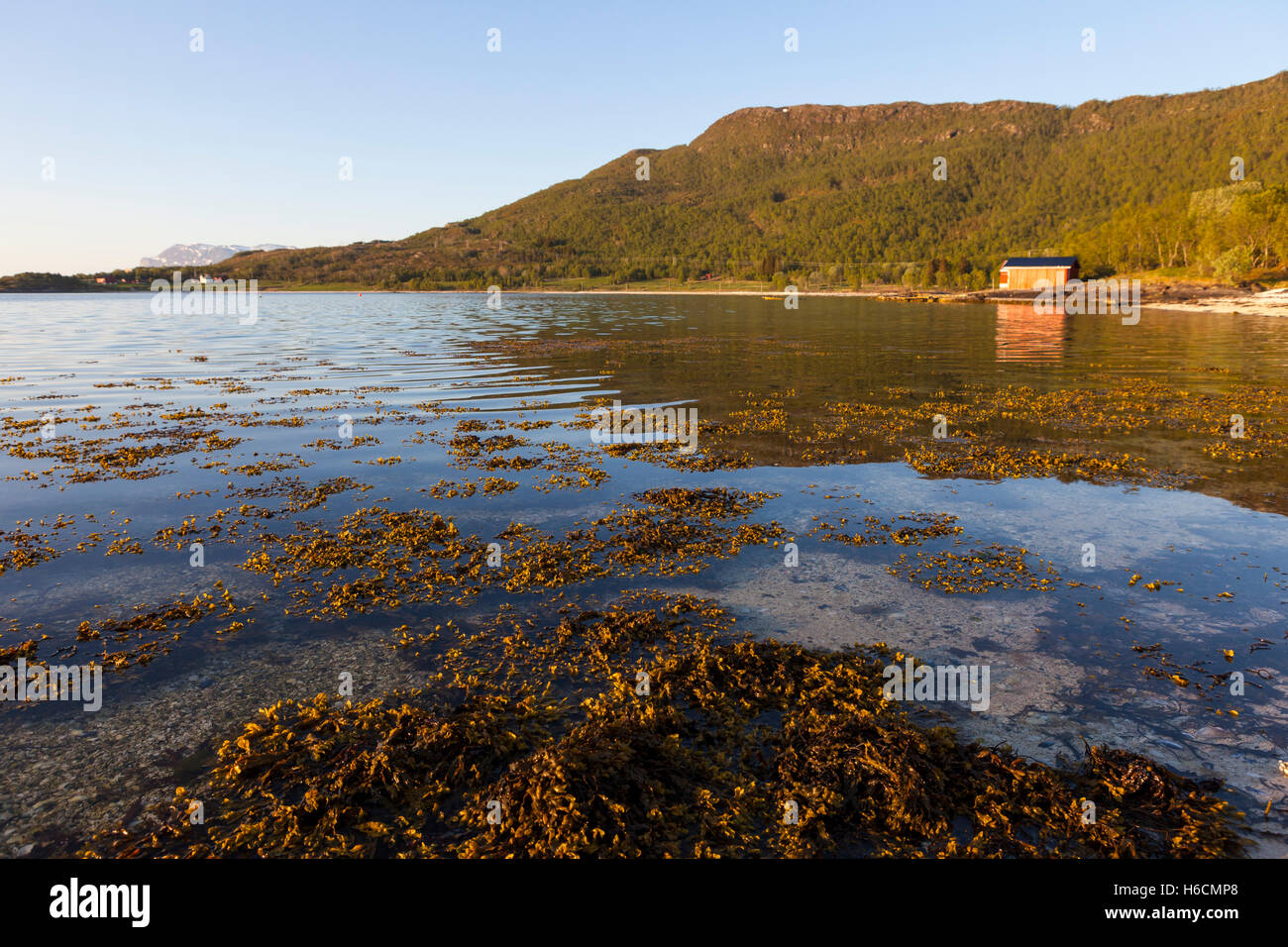 Shoreside at Tjeldsund Fjord camping, Lofoten Islands Norway Stock ...