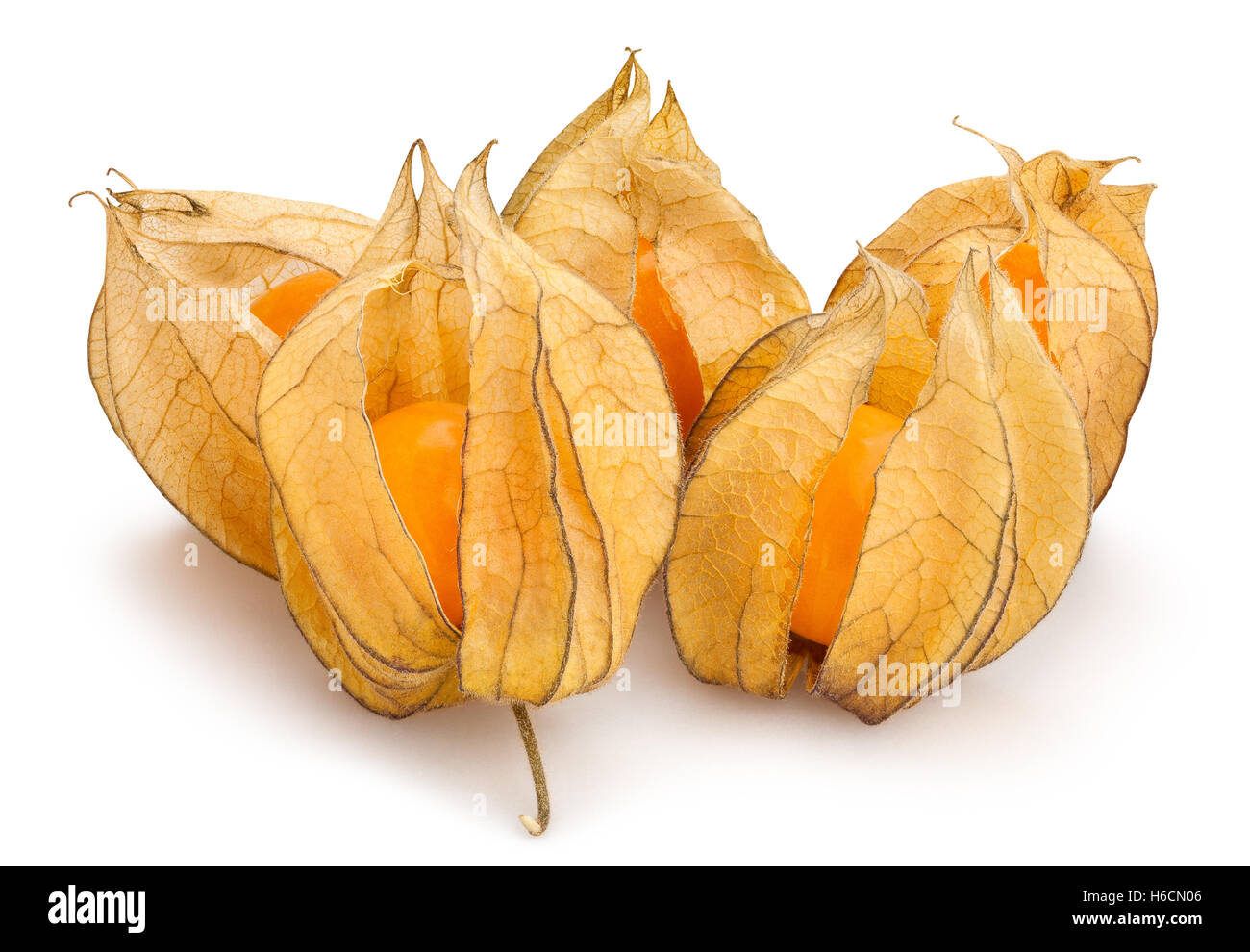 Physalis hi-res stock photography and images - Alamy