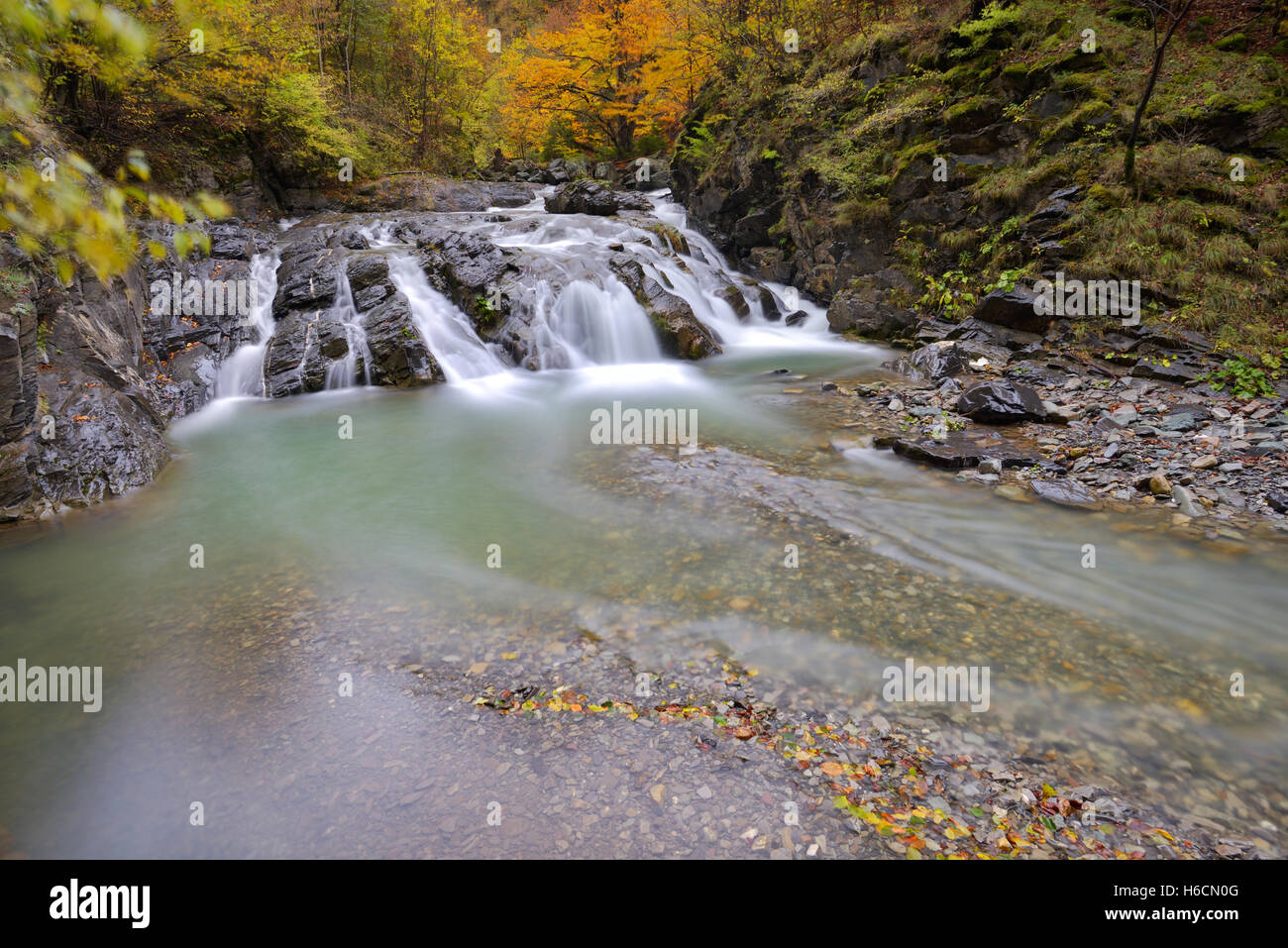 Beautiful waterfall in forest, autumn landscape with lots of red and ...