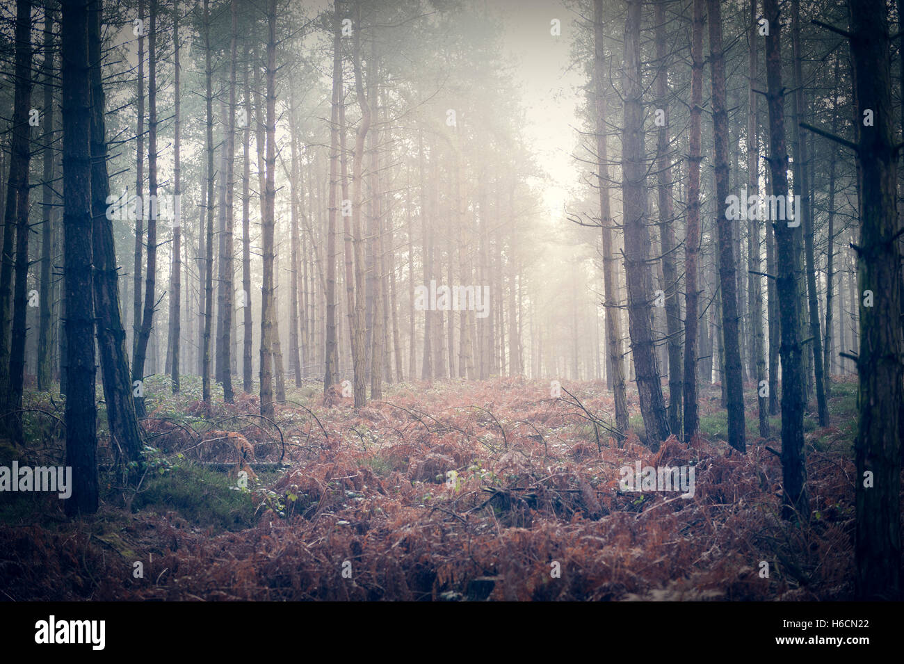 Artistic breakthrough hi-res stock photography and images - Alamy