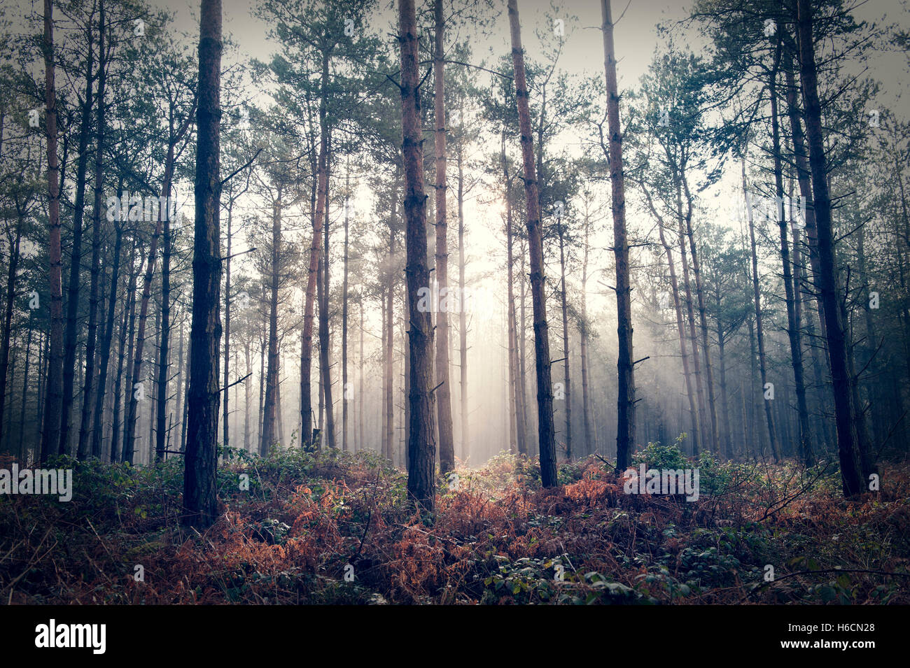 Artistic breakthrough hi-res stock photography and images - Alamy