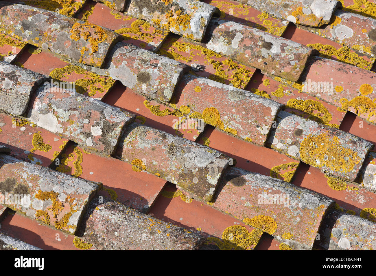 Old roof tiles texture architecture hi-res stock photography and images ...