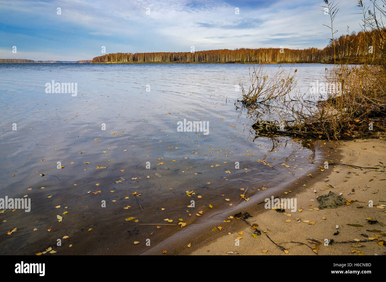 On the lake in the late autumn in October Stock Photo - Alamy
