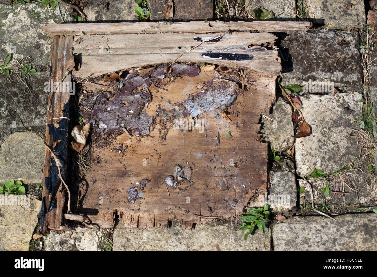 A half rotted away wooden picture/mirror frame on flagstones Stock ...