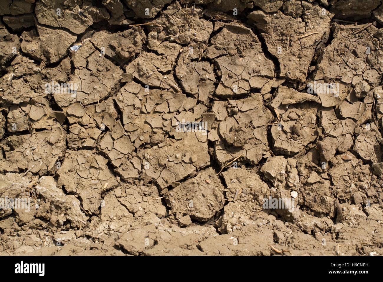 Cracked dry mud makes a pattern/background Stock Photo - Alamy