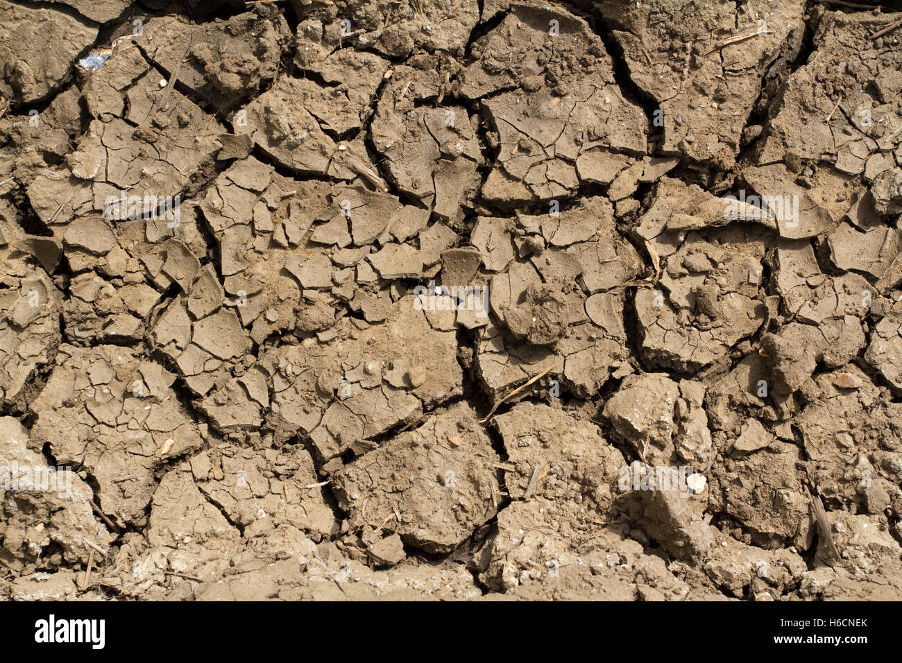 Mud map hi-res stock photography and images - Alamy
